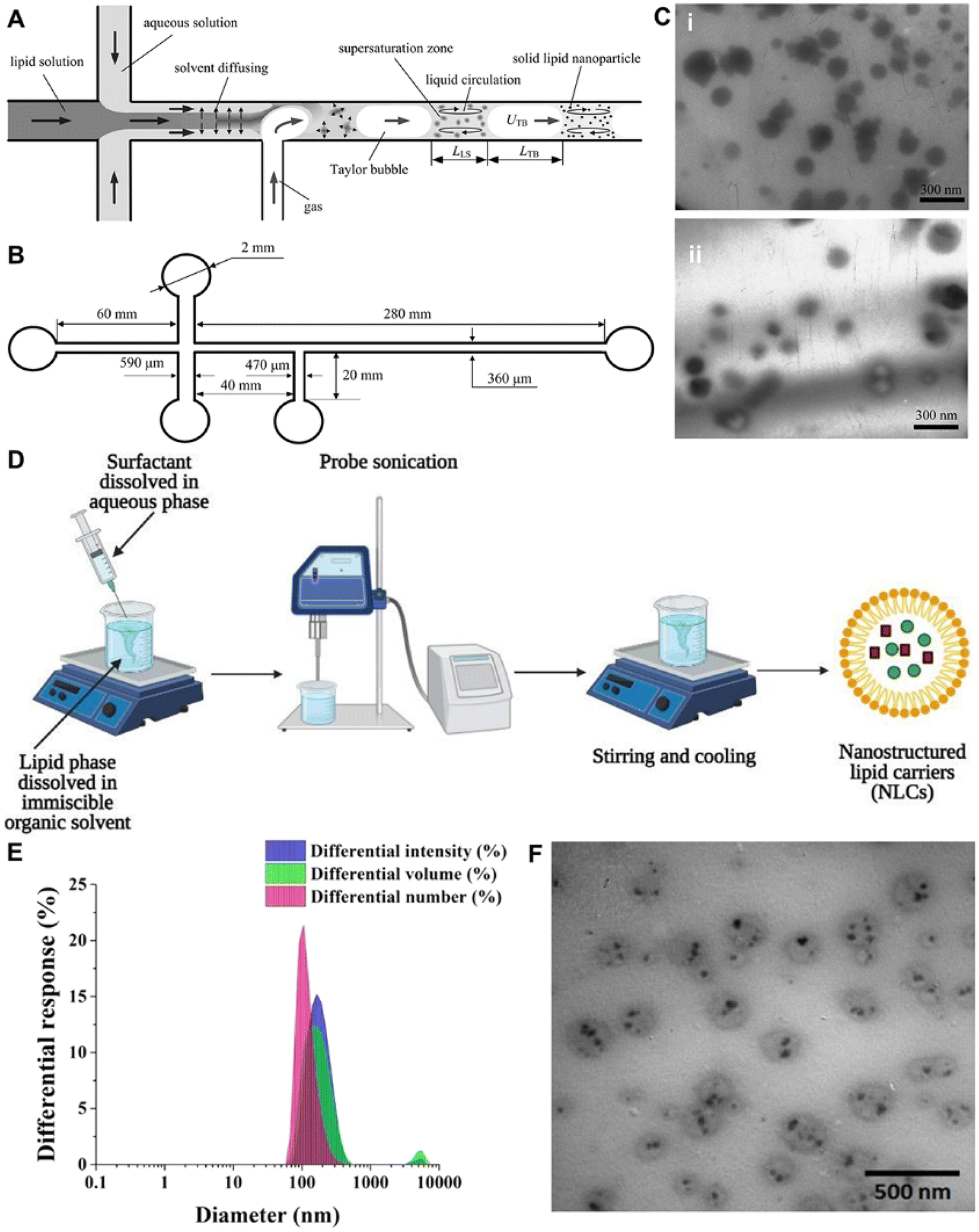 Functional nano-systems for transdermal drug delivery and skin therapy ...