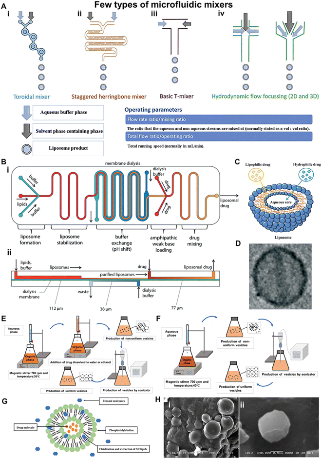 Functional nano-systems for transdermal drug delivery and skin therapy ...