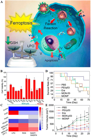 Recent trends in emerging strategies for ferroptosis-based cancer ...