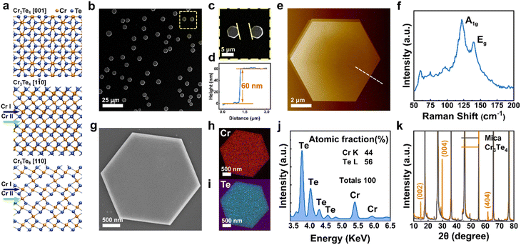 Atomic scale insights into the epitaxial growth mechanism of 2D Cr 3 Te ...