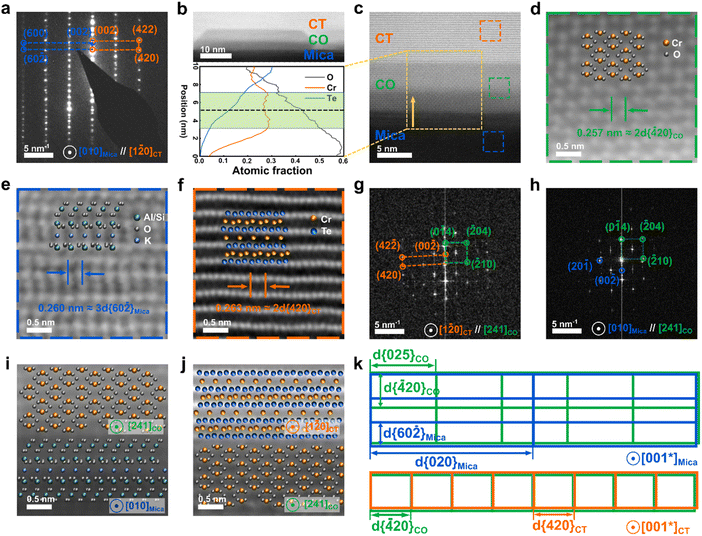 Atomic scale insights into the epitaxial growth mechanism of 2D Cr 3 Te ...