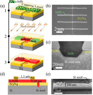 Monolithic InSb nanostructure photodetectors on Si using rapid melt ...