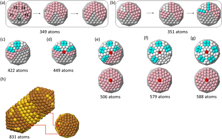 Growth pathways of Cu shells on Au and AuCu seeds: interdiffusion ...