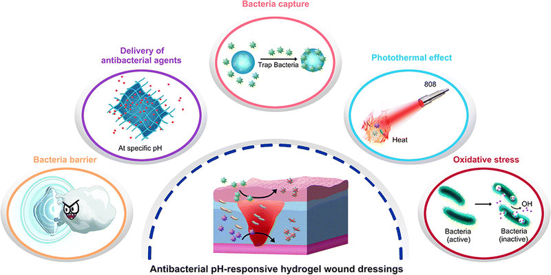 pH-Responsive wound dressings: advances and prospects - Nanoscale Horizons (RSC Publishing) DOI ...