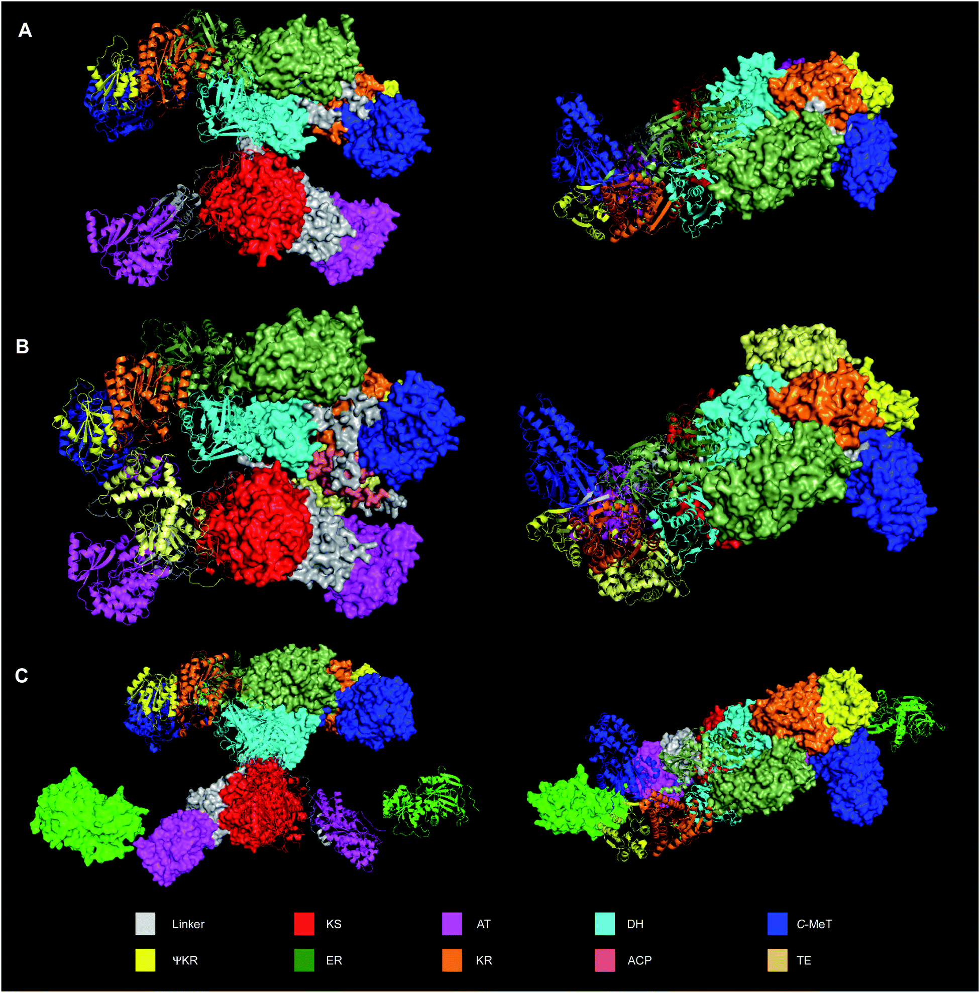 Curiouser and curiouser: progress in understanding the programming of iterative highly-reducing ...