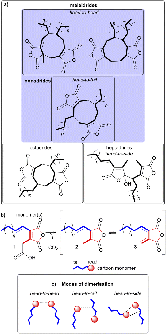 Maleidride biosynthesis – construction of dimeric anhydrides – more ...