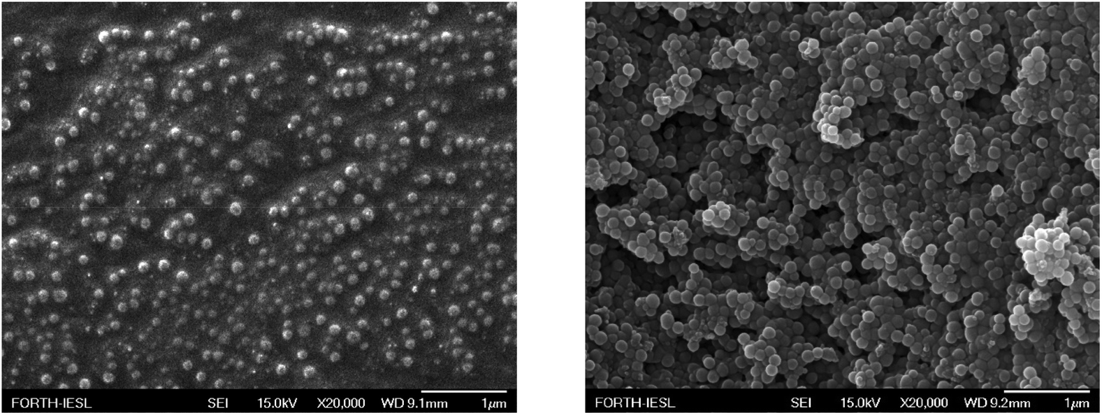 Modifying flexible polymer films towards superhydrophobicity and superoleophobicity by utilizing ...