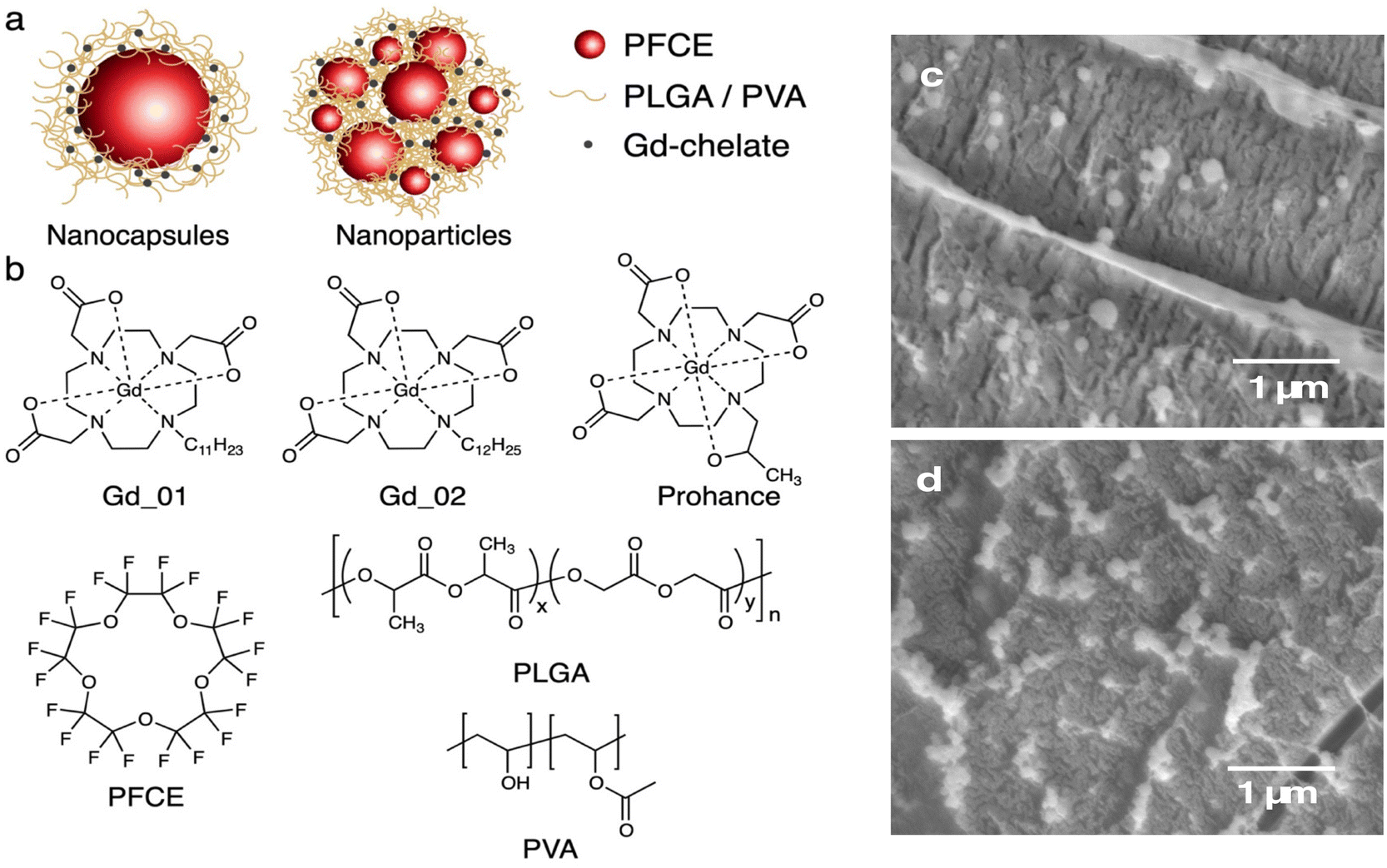 The internal structure of gadolinium and perfluorocarbon-loaded polymer nanoparticles affects 19 ...
