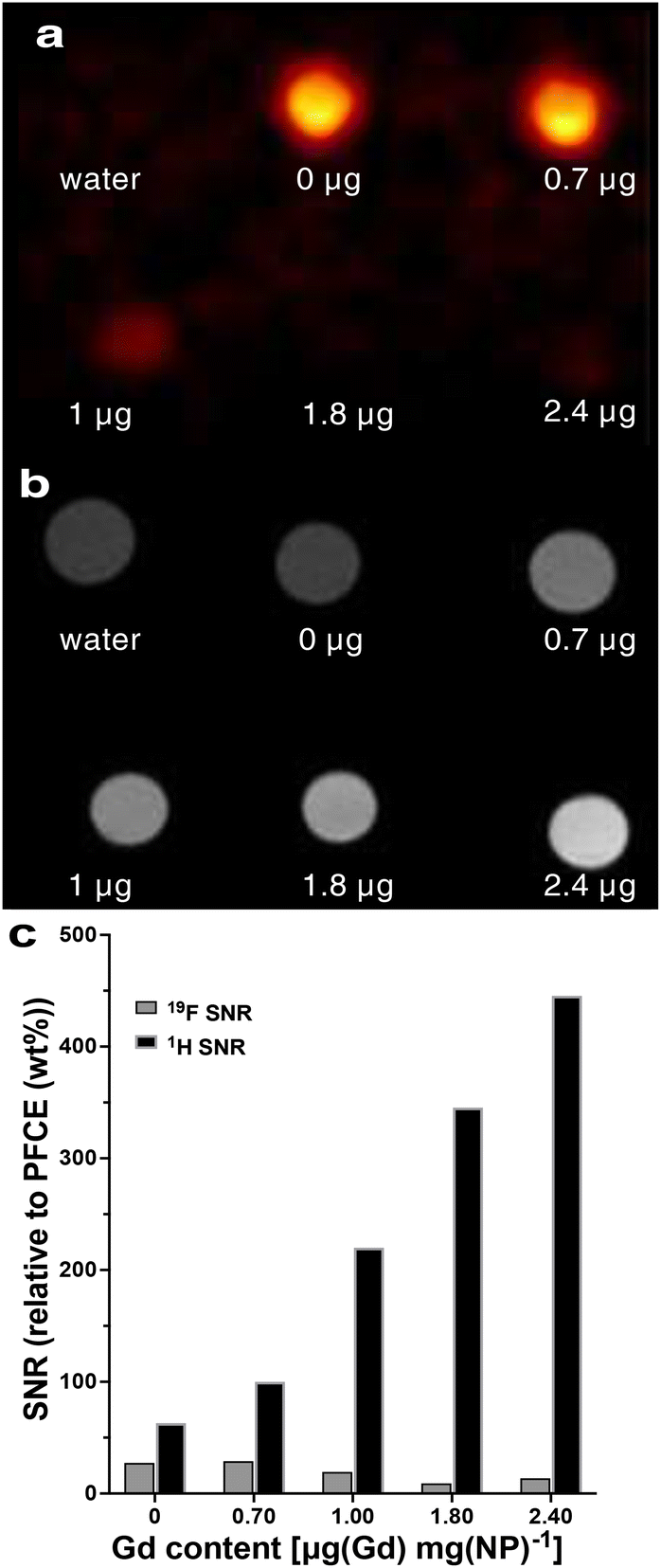 The internal structure of gadolinium and perfluorocarbon-loaded polymer nanoparticles affects 19 ...