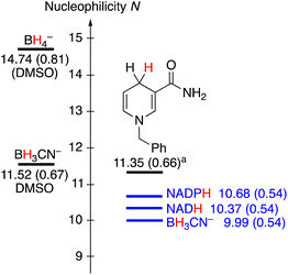 Quantification of the hydride donor abilities of NADH, NADPH, and BH 3 ...