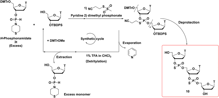 Development of a new synthetic method for oligodeoxynucleotides using 3 ...