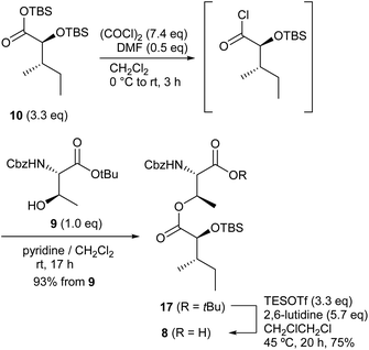 Total synthesis of isoneoantimycin - Organic & Biomolecular Chemistry ...