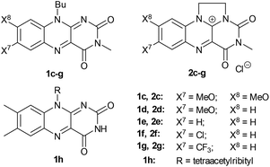 Catalytic artificial nitroalkane oxidases – a way towards ...