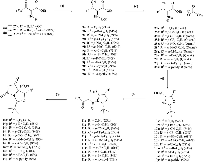 Tetramate derivatives by chemoselective Dieckmann ring closure of allo ...