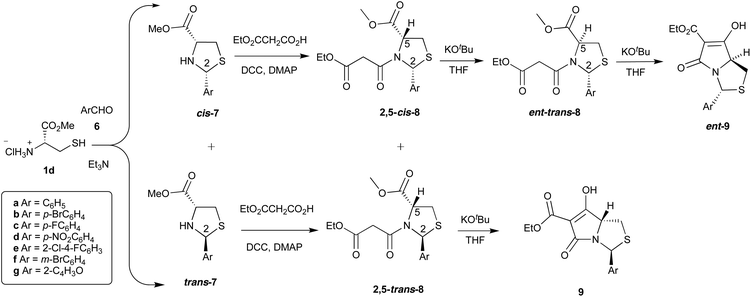 Synthesis of fused tetramate-oxazolidine and -imidazolidine derivatives ...