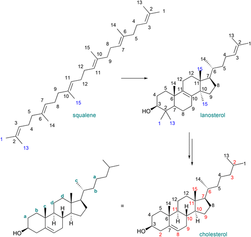 Deuterated squalene and sterols from modified Saccharomyces cerevisiae ...