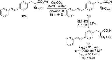 Fluorescent α-amino acids via Heck–Matsuda reactions of phenylalanine ...