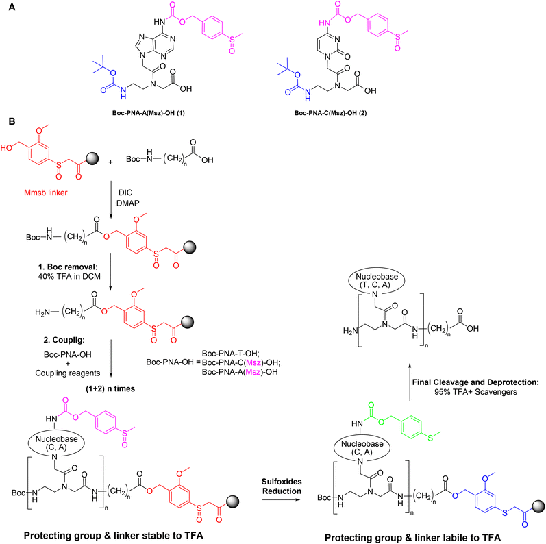 A safety-catch protecting group strategy compatible with Boc-chemistry ...
