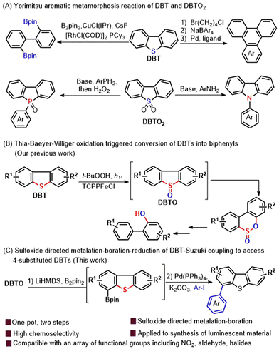 One-pot cascade synthesis of dibenzothiophene-based heterobiaryls from dibenzothiophene-5-oxide ...