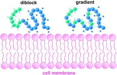 How does the polymer architecture and position of cationic charges ...