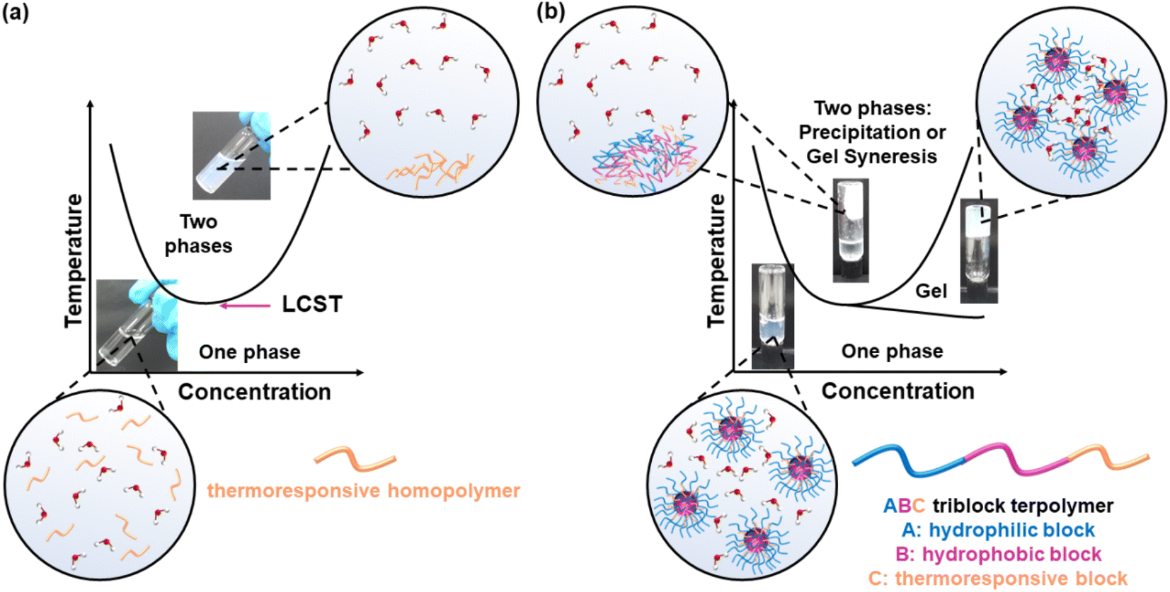 Thermoresponsive block copolymers of increasing architecture complexity: a review on structure ...