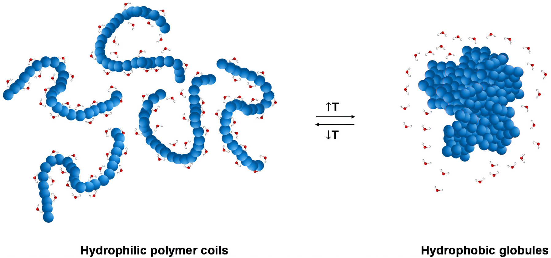 Thermoresponsive block copolymers of increasing architecture complexity: a review on structure ...
