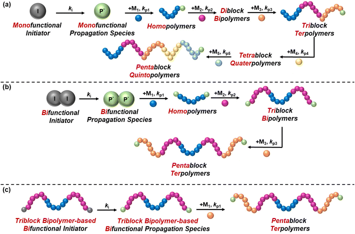 Thermoresponsive block copolymers of increasing architecture complexity ...