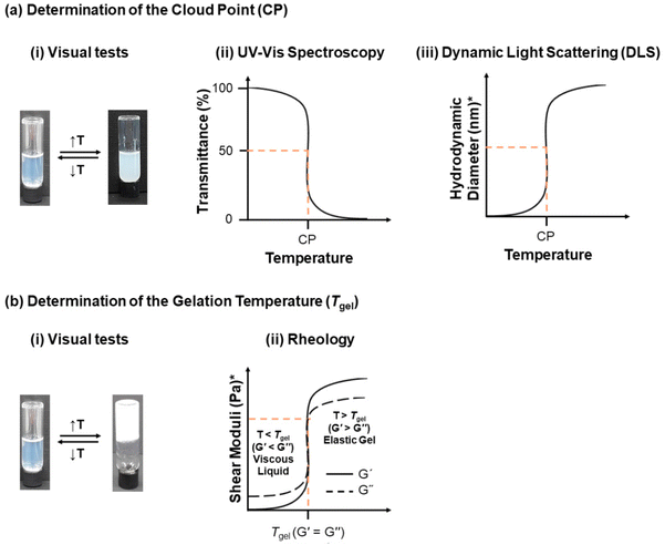 Thermoresponsive block copolymers of increasing architecture complexity: a review on structure ...