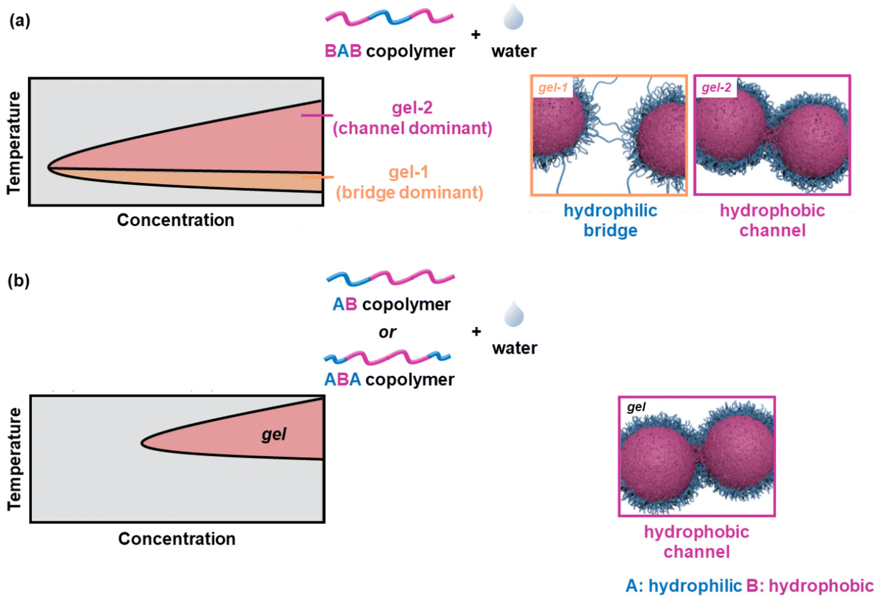 Thermoresponsive block copolymers of increasing architecture complexity: a review on structure ...