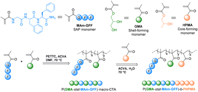 Morphological evolution of poly(glycerol monomethacrylate)- stat ...