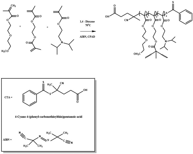 Thermo- and pH-responsive poly[(diethylene glycol methyl ether ...
