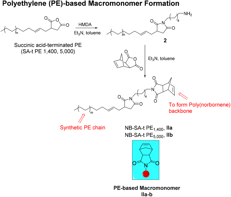 Bioactive polyethylene synthesized by ring opening metathesis ...