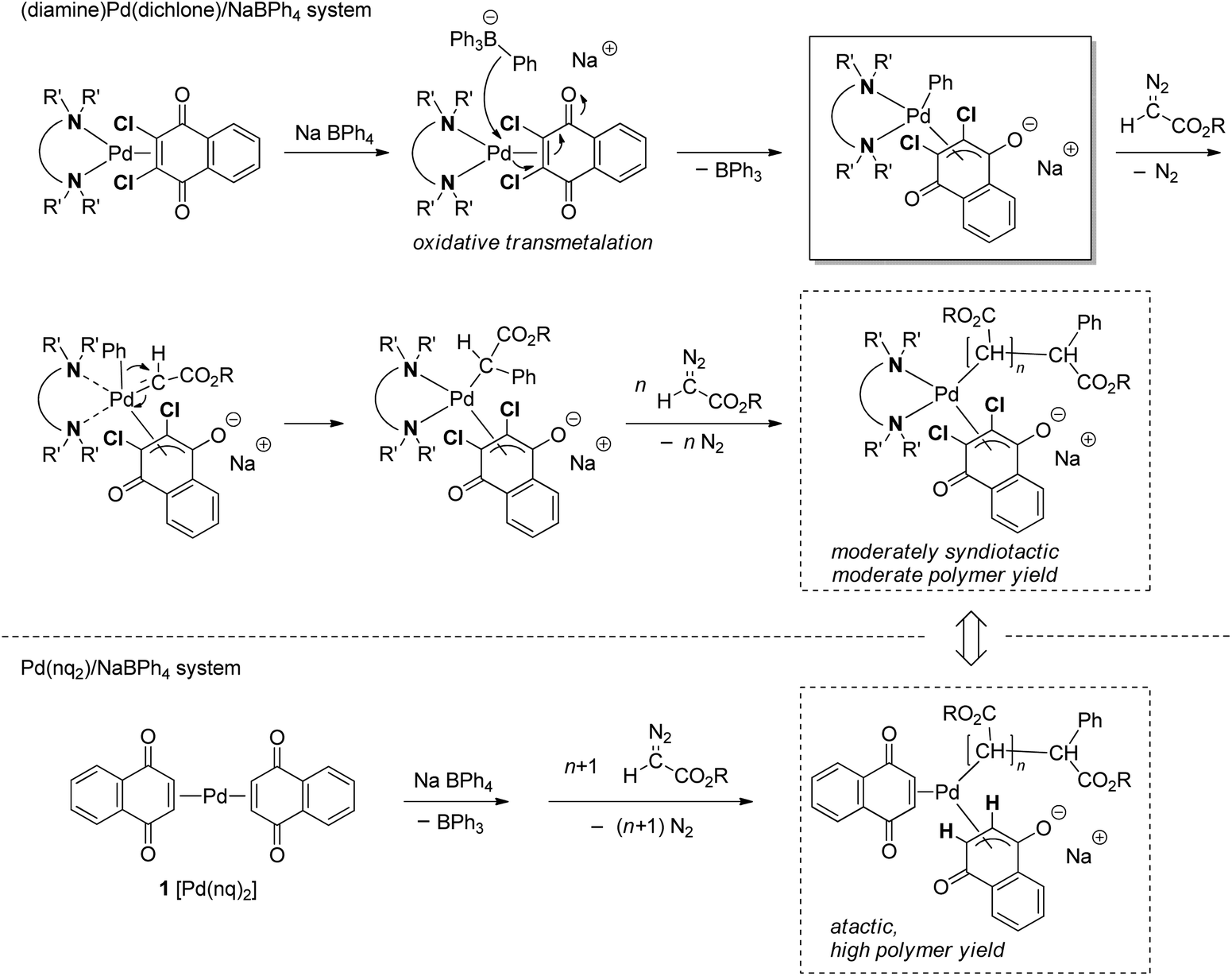 Initiating abilities of diphosphine- and diamine-ligated Pd complexes ...