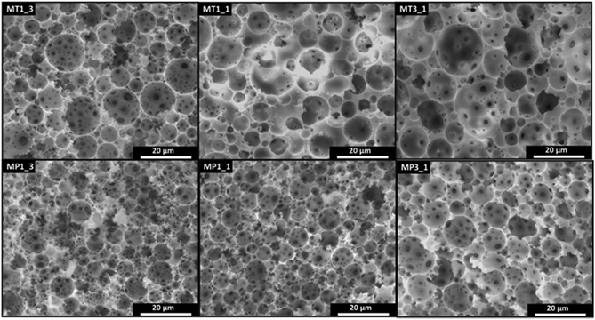 Terpenes as natural building blocks for the synthesis of hierarchically ...