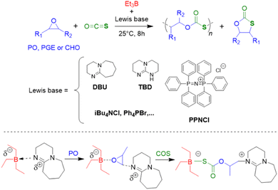 Borane catalysis for epoxide (co)polymerization - Polymer Chemistry ...