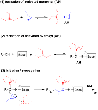 Borane catalysis for epoxide (co)polymerization - Polymer Chemistry ...