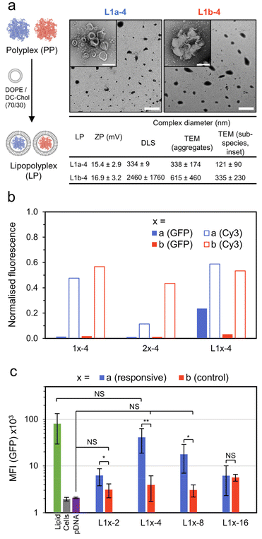 Nucleophile responsive charge-reversing polycations for pDNA ...