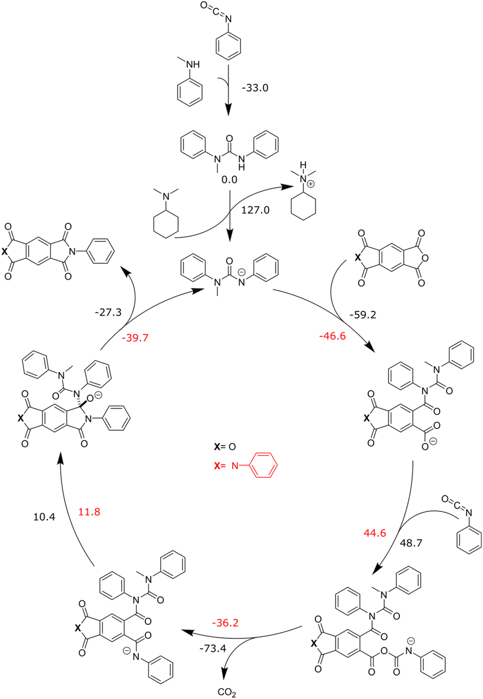 Towards high-performance polyurethanes: a mechanism of amine catalyzed aromatic imide formation ...