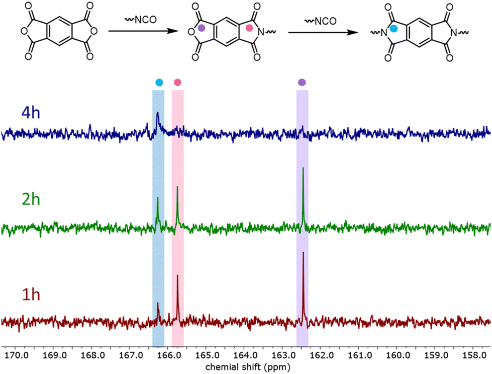 Towards high-performance polyurethanes: a mechanism of amine catalyzed aromatic imide formation ...