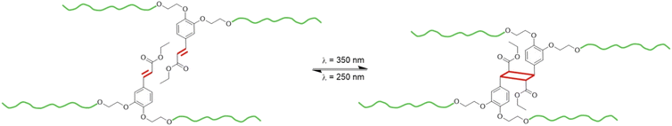 From thermoplastic polyurethane to covalent adaptable network via ...