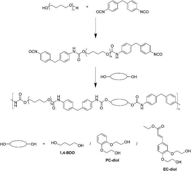 From thermoplastic polyurethane to covalent adaptable network via ...