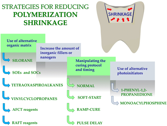 Photopolymerization shrinkage: strategies for reduction, measurement ...