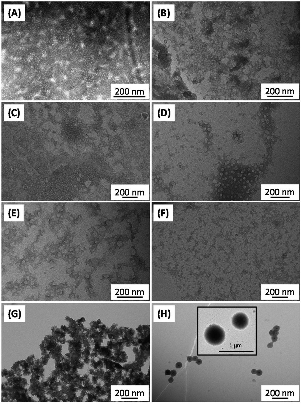 Single-ion nano-features formed by a Li-containing block copolymer synthesized via PISA ...