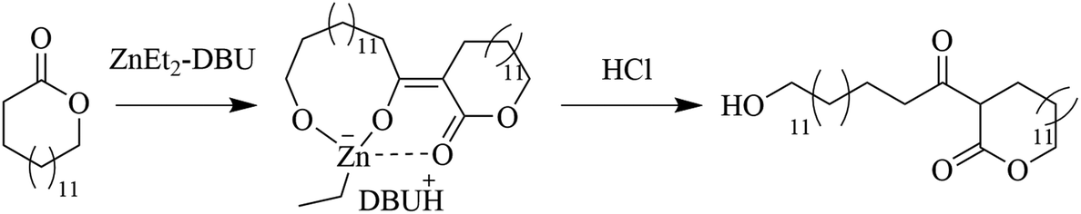 Linear not cyclic – unravelling an anionic initiation pathway for Lewis ...