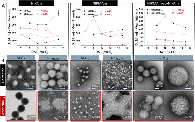 Structural control and functionalization of thermoresponsive nanogels ...