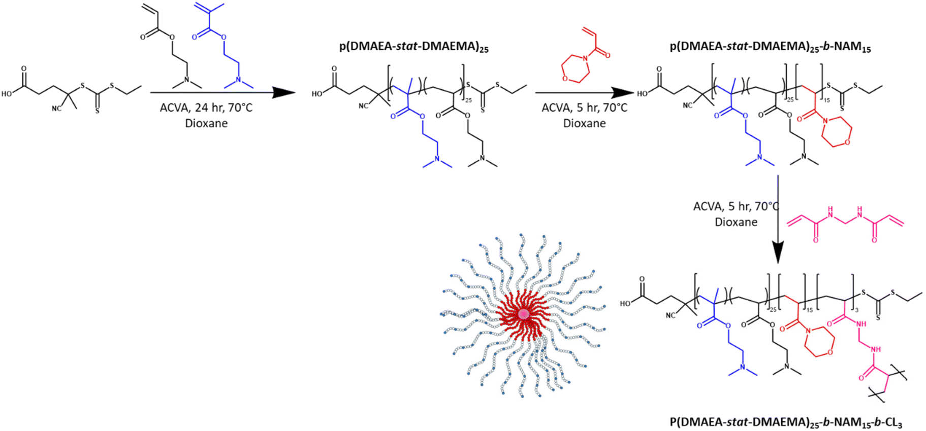 Cationic star copolymers obtained by the arm first approach for gene ...