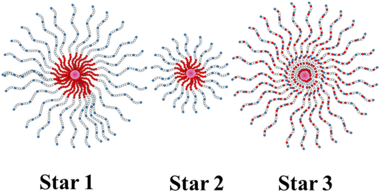 Cationic star copolymers obtained by the arm first approach for gene ...