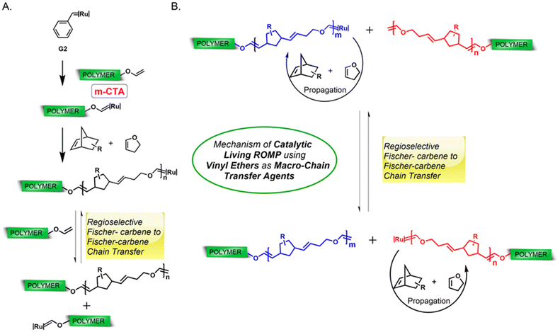 Catalytic living ROMP: block copolymers from macro-chain transfer ...