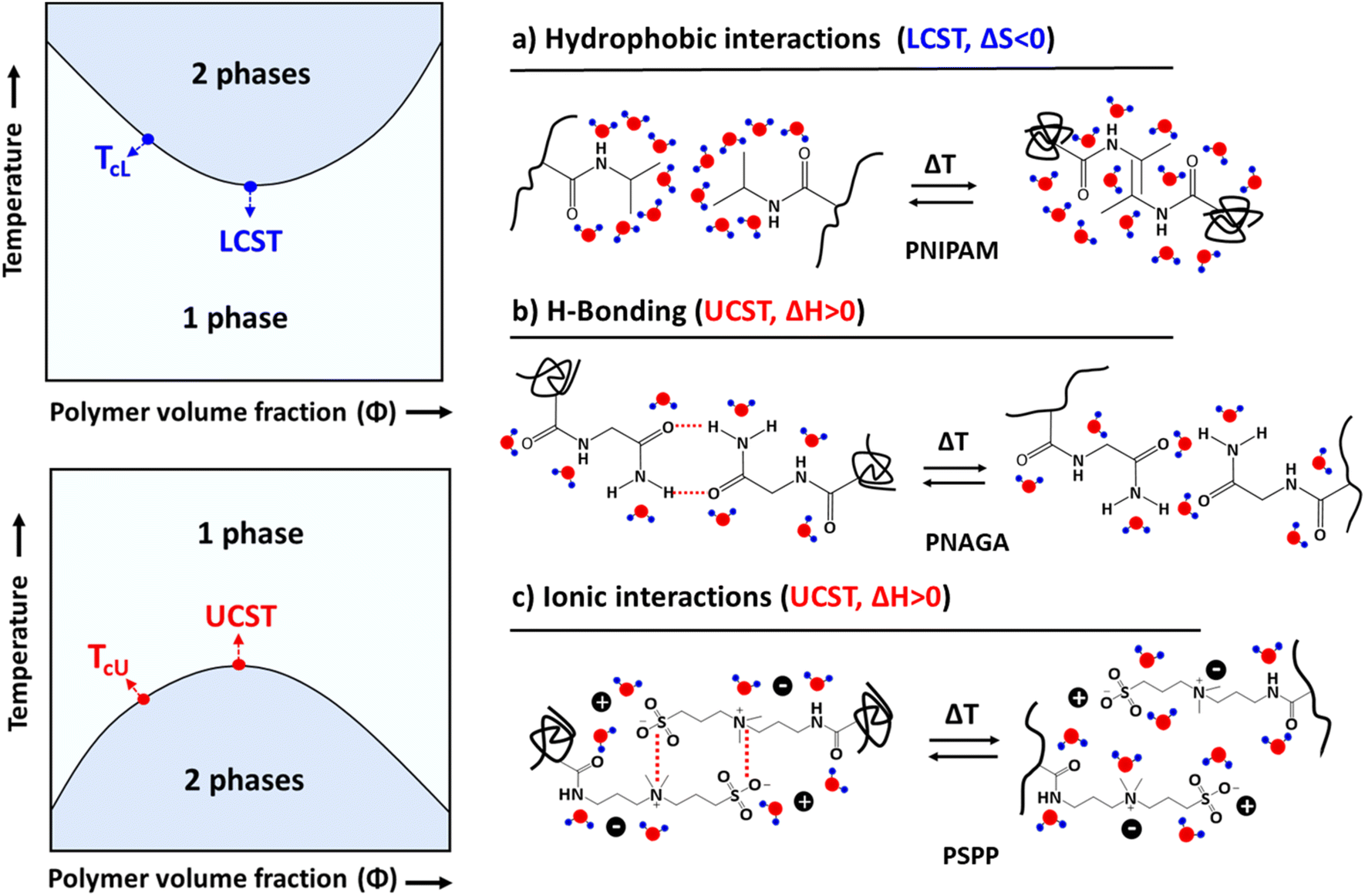Thermoresponsive polycations - Polymer Chemistry (RSC Publishing) DOI:10.1039/D3PY00421J