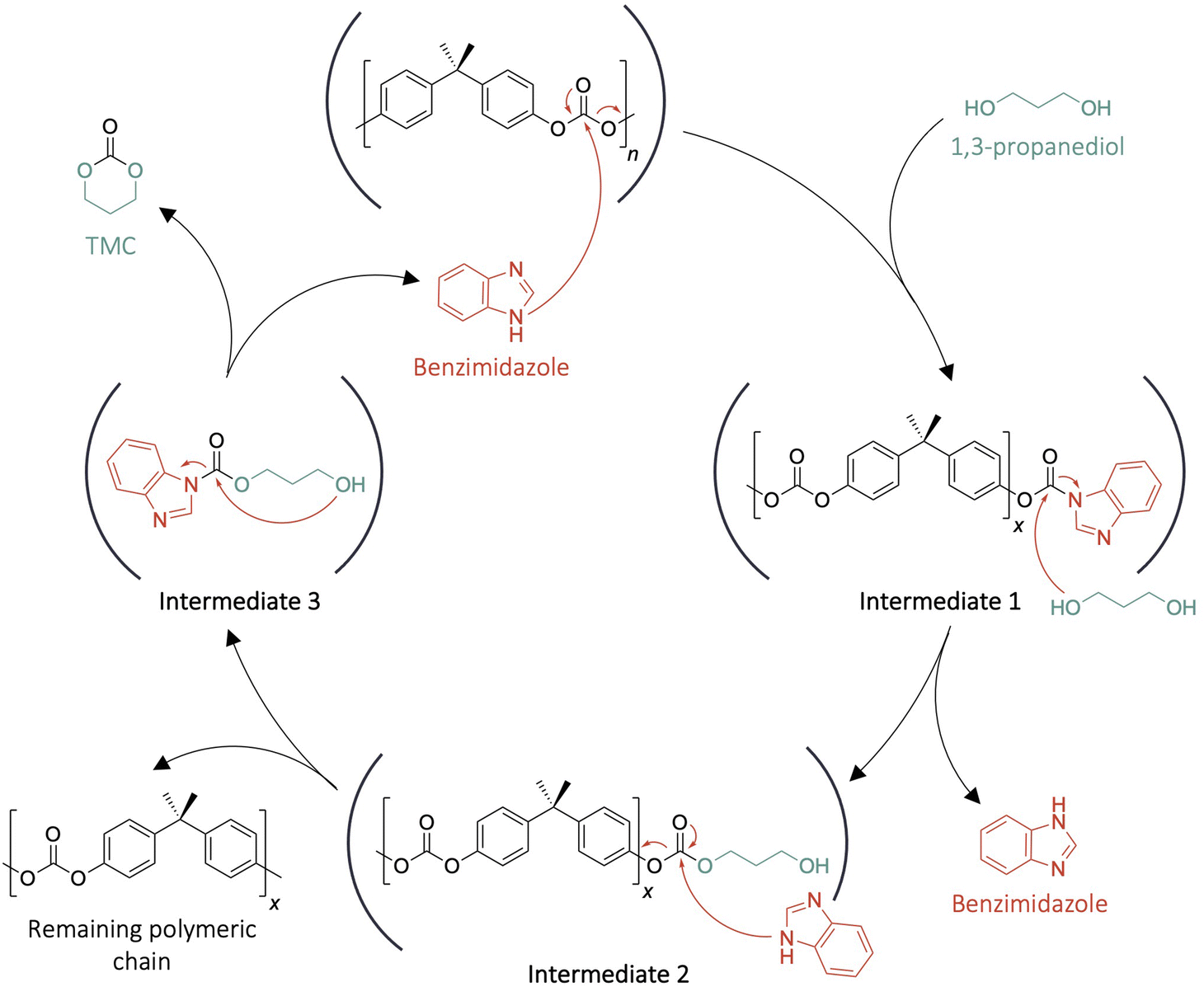 Upcycling of BPA-PC into trimethylene carbonate by solvent assisted ...